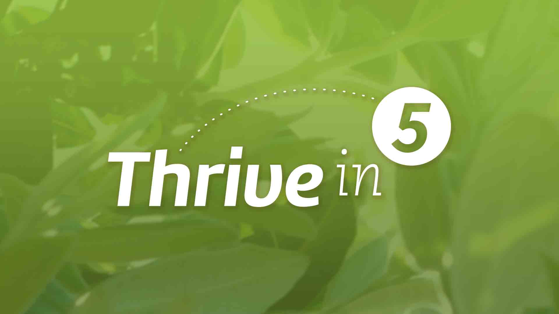 Thrive in 5 - Spiritual - Protecting the Spiritual Life of the Pastor ...