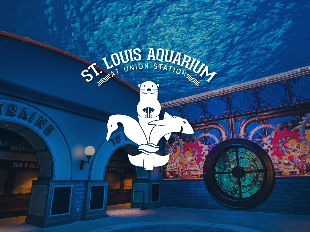 St. Louis Aquarium is making a splash - The Wesleyan Church