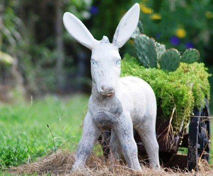 The concrete donkey - The Wesleyan Church